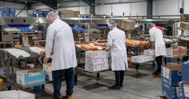 St. Ewe Free Range Eggs opens new packing centre | Zenoot ...